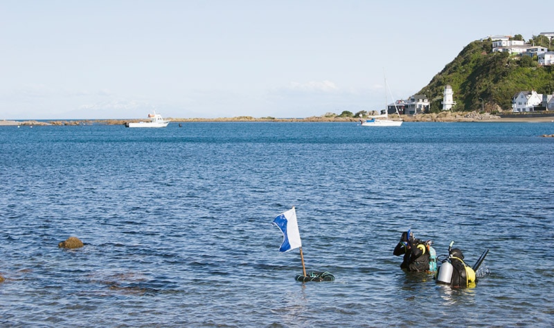What Does A Diver Down Flag Look Like? Active Weekender