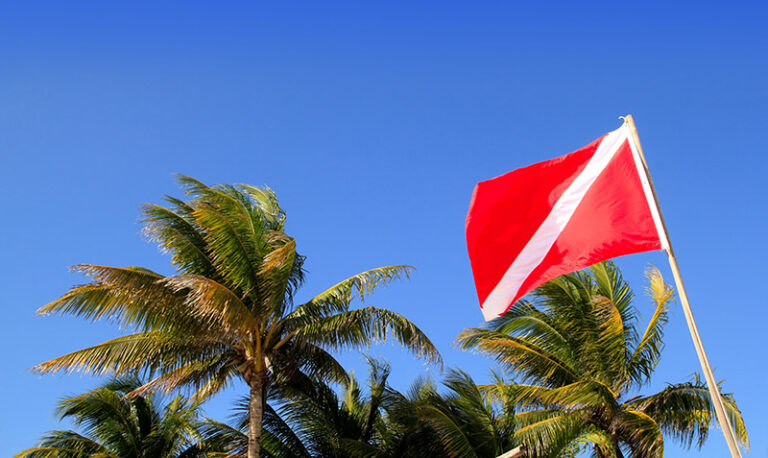 What Does A Diver Down Flag Look Like? Active Weekender
