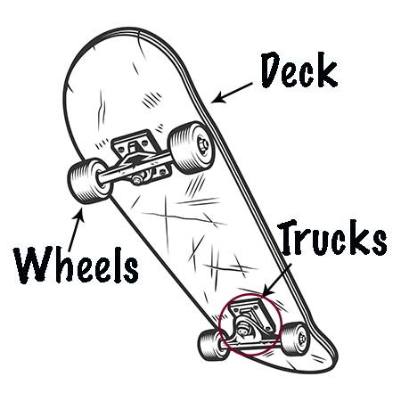 Skateboard Anatomy: How To Build A Board - Active Weekender