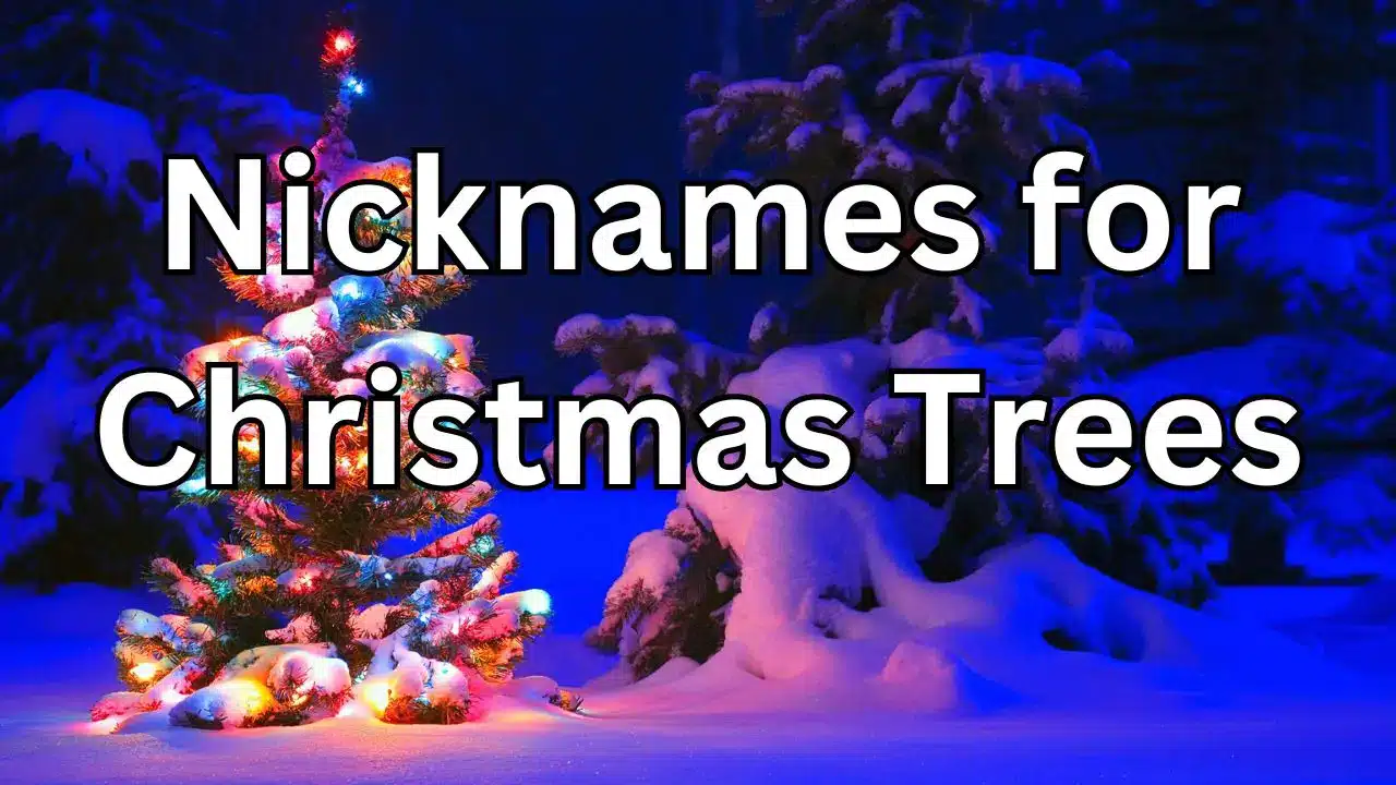 199 Nicknames for a Christmas Tree (Unique, Funny, Cute, Clever, and More!)