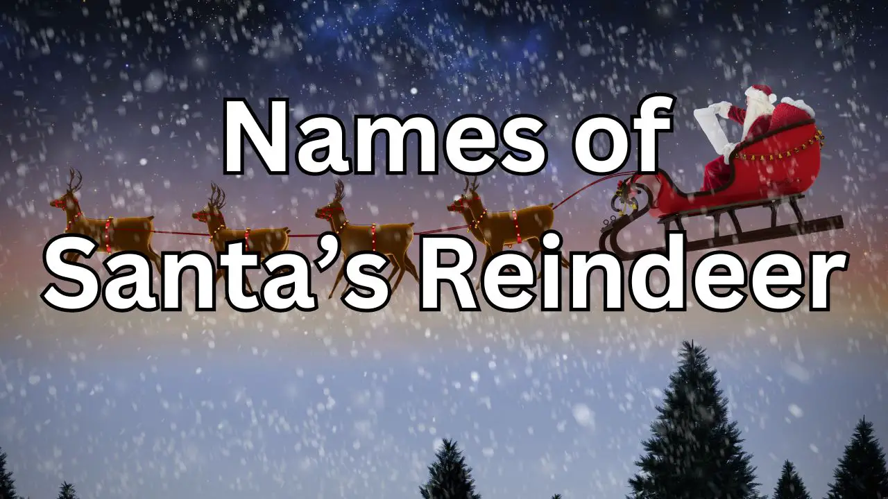 Santa’s Reindeer Names: All the Christmas Team