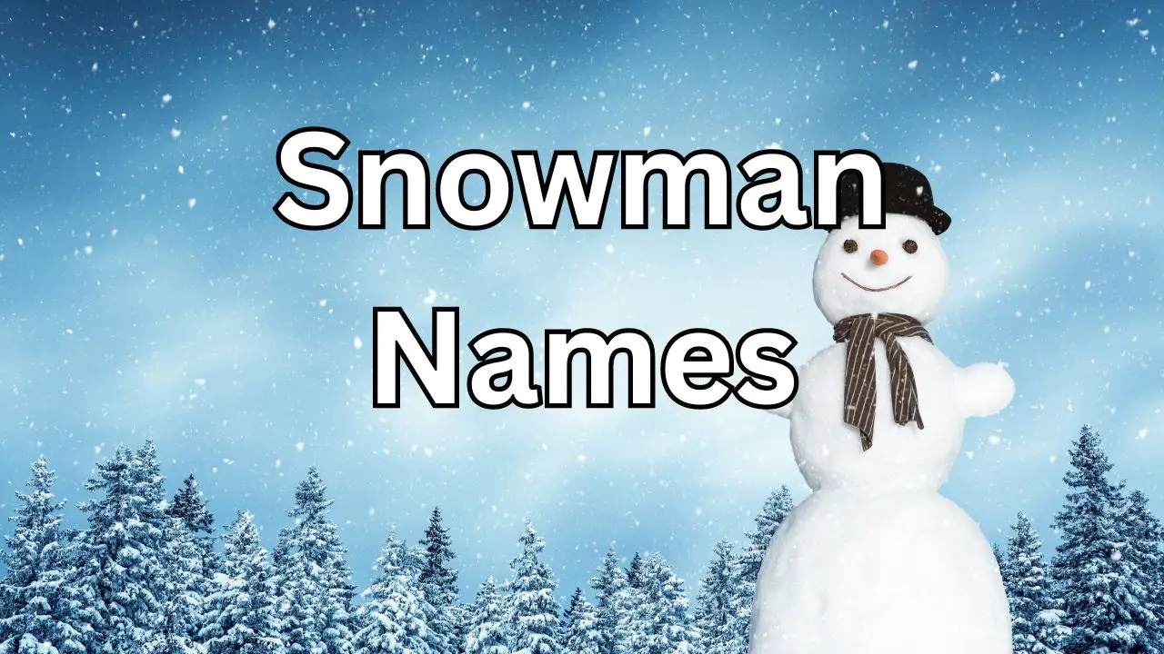 501+ Snowman Names (Cute, Funny, Clever, Famous & More!)