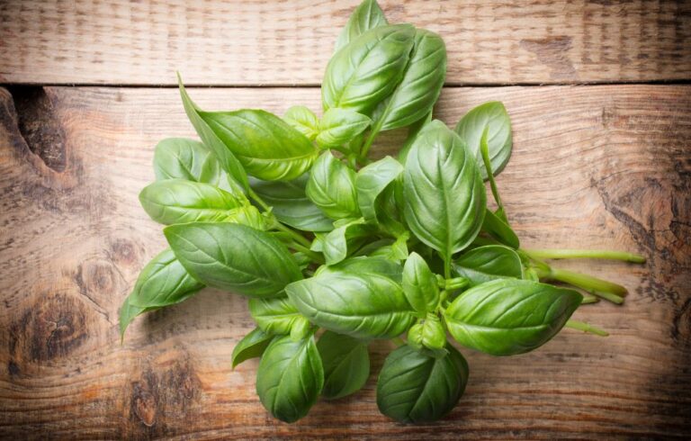 31 Ways To Use Fresh Basil